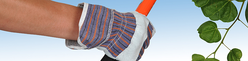 School Horticulture & Gardening Equipment | Breckland Scientific ...