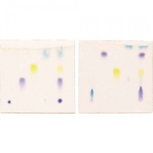 School Chromatography Kits | Breckland Scientific Supplies UK ...