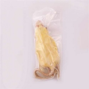 School Biological Specimens - Preserved | Breckland Scientific Supplies ...