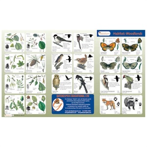 School Ecology Equipment | Breckland Scientific Supplies UK ...
