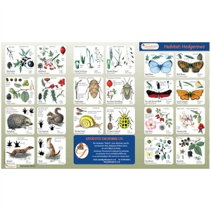 School Ecology Equipment | Breckland Scientific Supplies UK ...