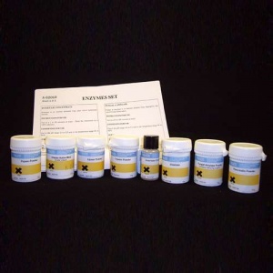 School Enzyme Kits & Accessories | Breckland Scientific Supplies UK ...