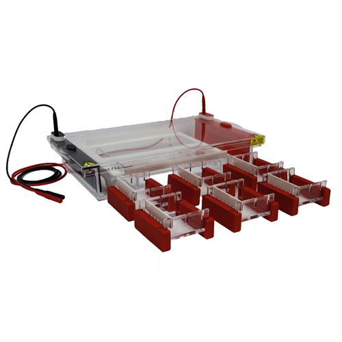 TGT8 Electrophoresis Tank | School Science Equipment ...