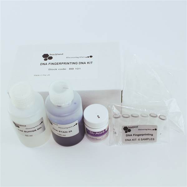 DNA Fingerprinting DNA Kit | School Science Equipment ...