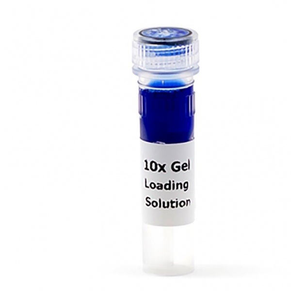 Gel Loading Solution | School Science Equipment | brecklandscientific.co.uk