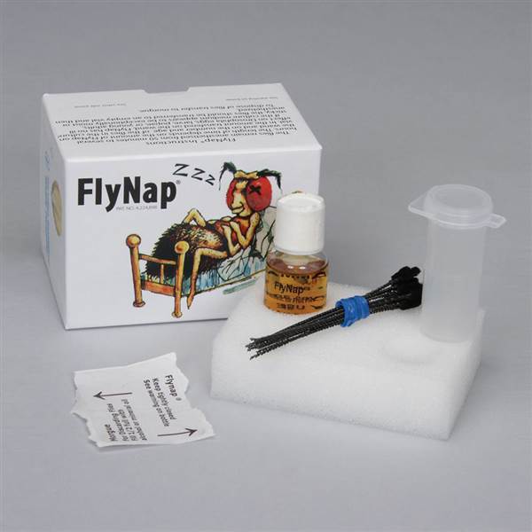 Fly Nap/Snooze | School Science Equipment | brecklandscientific.co.uk