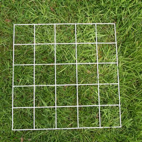 Quadrat 25 Squares | School Science Equipment | brecklandscientific.co.uk