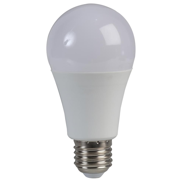 LED ES Bulb - 15W - E27 | School Science Equipment ...