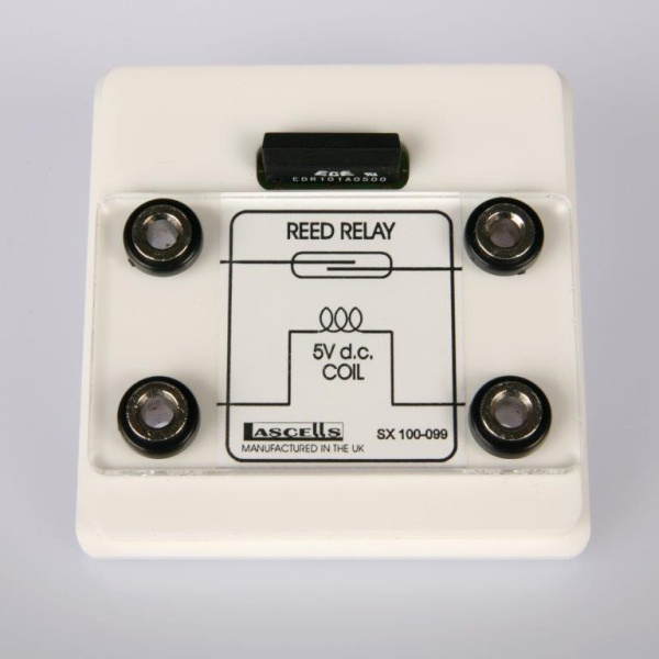 Mounted Component - Reed Relay | School Science Equipment ...