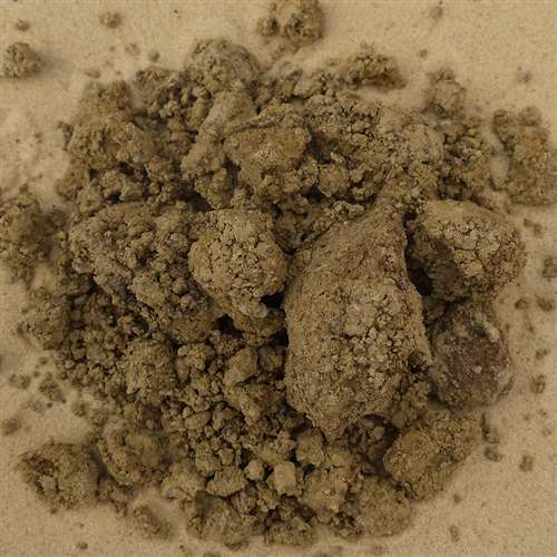 Eocene Clay | School Science Equipment | brecklandscientific.co.uk