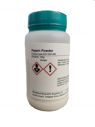 Pepsin Powder 100g | School Science Equipment | brecklandscientific.co.uk
