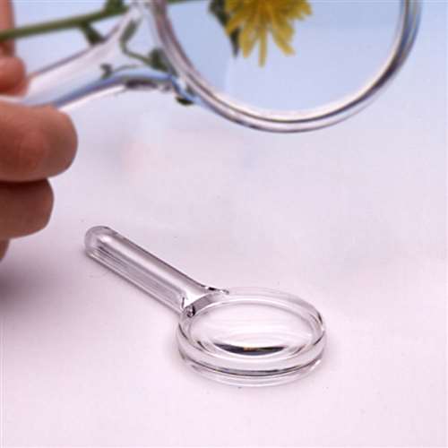 Hand Magnifier x5 - 35mm | School Science Equipment ...