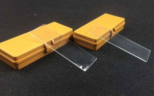 Stage Micrometer - Basic - 1mm/0.01mm | School Science Equipment ...