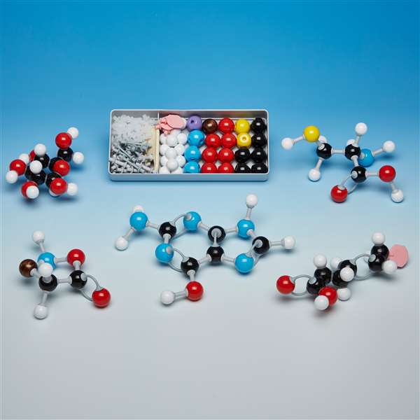 Molymod® Biological Sciences Set - Student | School Science Equipment ...