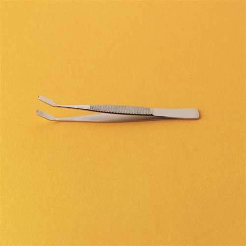 Cover Glass Forceps | School Science Equipment | brecklandscientific.co.uk