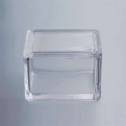 Staining Block (Cavity) - 40 x 40mm | School Science Equipment ...