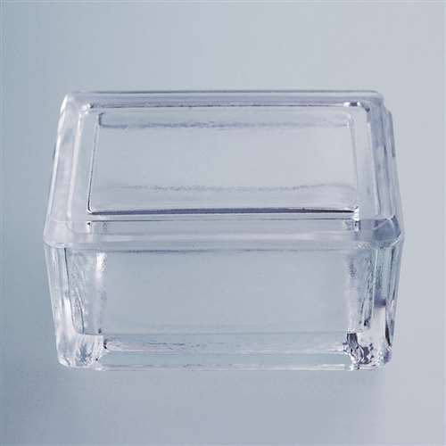 Staining Trough | School Science Equipment | brecklandscientific.co.uk