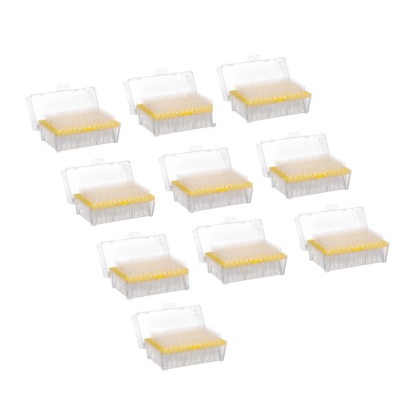 Greiner Pipette Tips - 200 µl - boxes | School Science Equipment ...