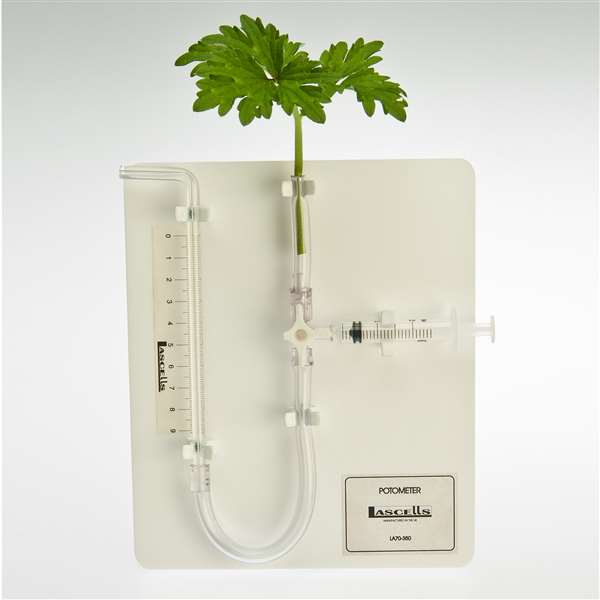 Potometer | School Science Equipment | brecklandscientific.co.uk