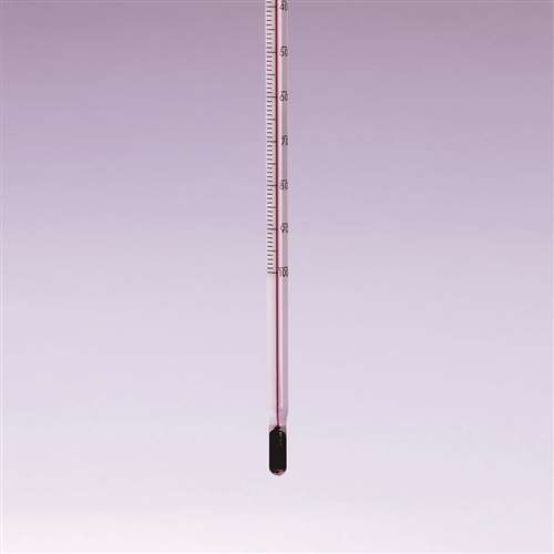 Red Thermomete - 305mm (-10 to 50 x 0.5) | School Science Equipment ...