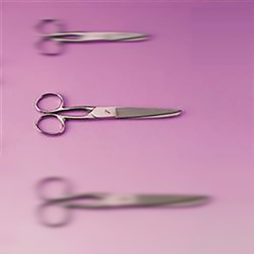 Scissors 150mm | School Science Equipment | brecklandscientific.co.uk